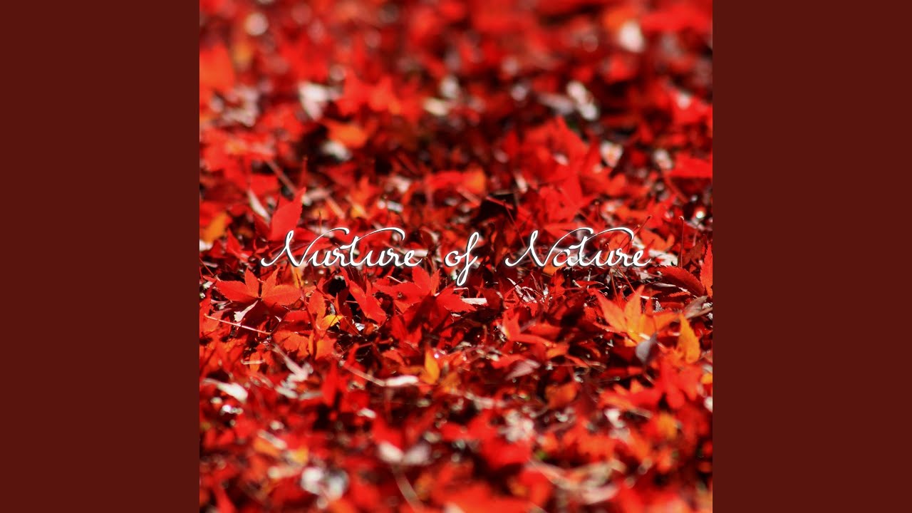 Rustled Leaves (Nature) - YouTube