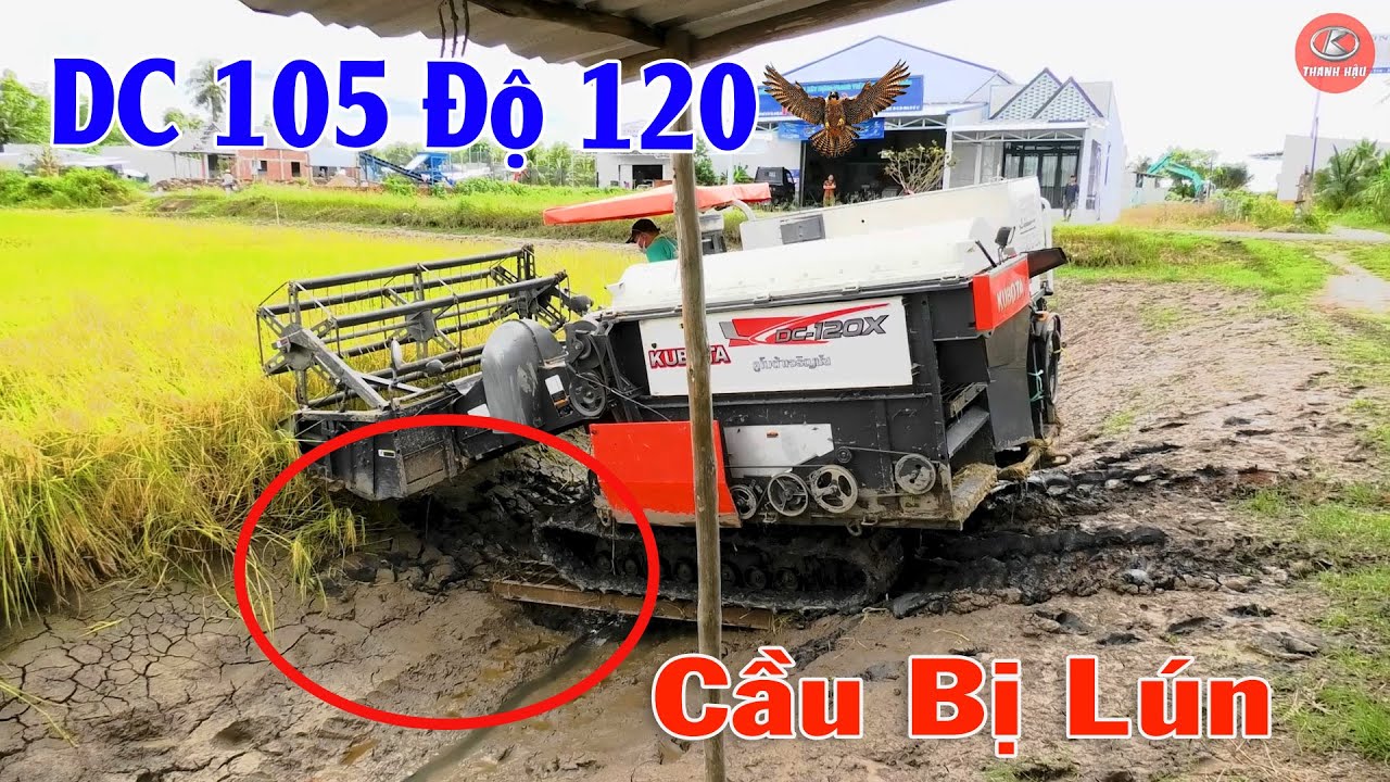 Máy Cắt lúa KUBOTA DC105 Độ Tem 120 Qua Cầu Bị Lún Quá Nguy Hiểm tập 262#thanhhaumaycat - YouTube