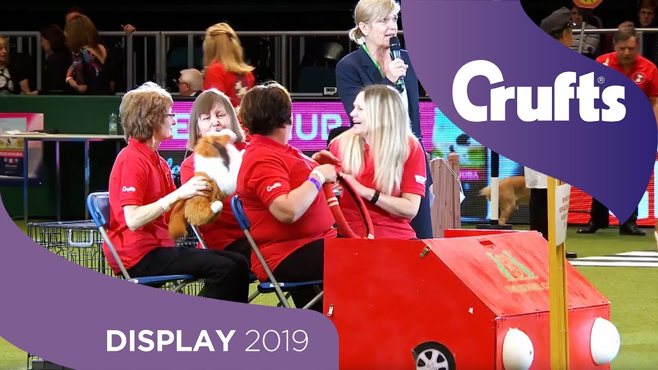 The Good Citizen Dog Scheme Display | Crufts 2019 - YouTube