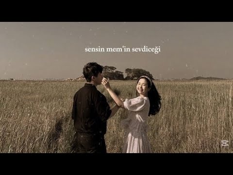 Mem Ararat  - Evîna Mem | Türkçe Sözleri 