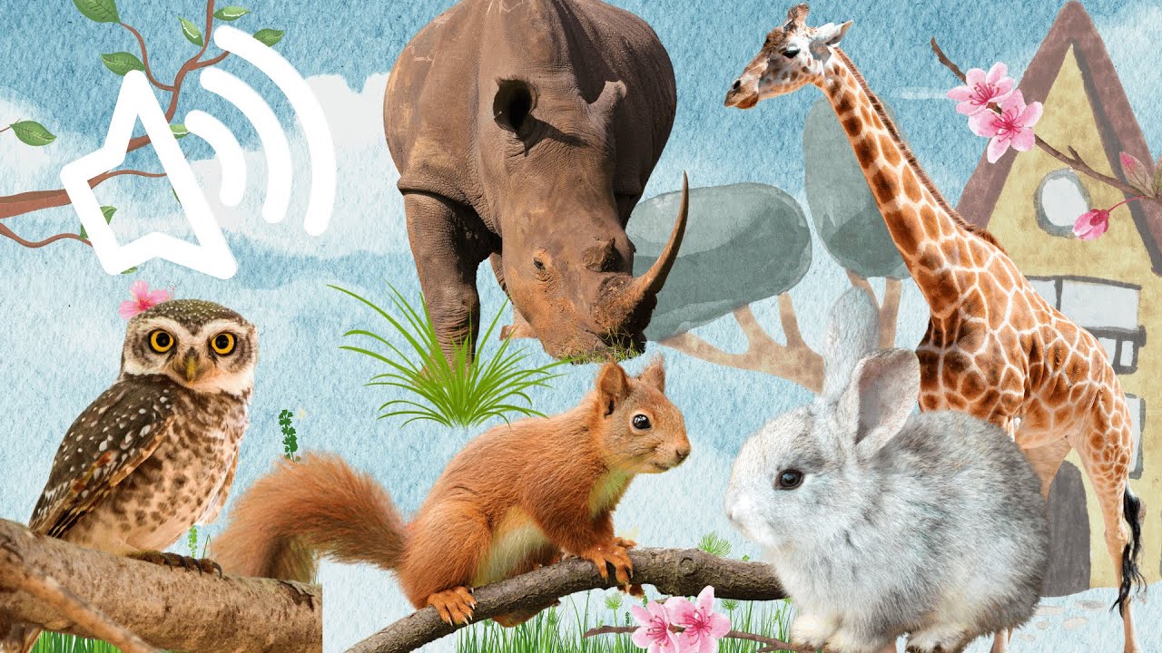 Wild nature has mischievous animals: owls, giraffes, squirrels, rabbits ...