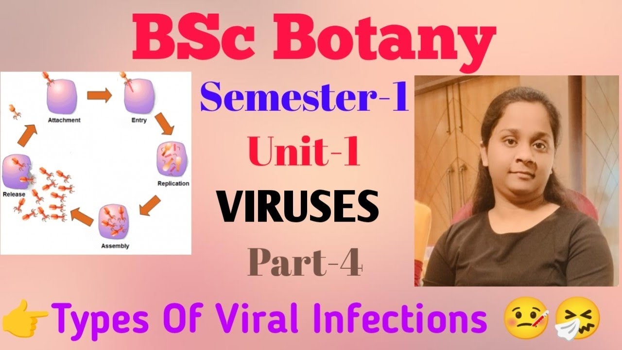 BSc Botany Sem-1 Unit-1 VIRUS (Types of Viral Infections) Part-4 ...