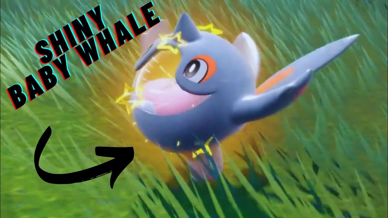 [Live]Shiny Cetoddle + Shiny Cetitan evolution (+Deerling, Sneasal, and ...