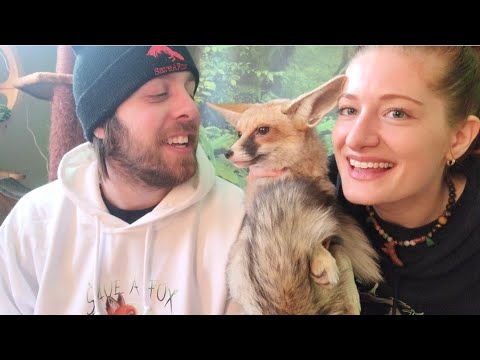 Fawzi fox shows new merch! - YouTube
