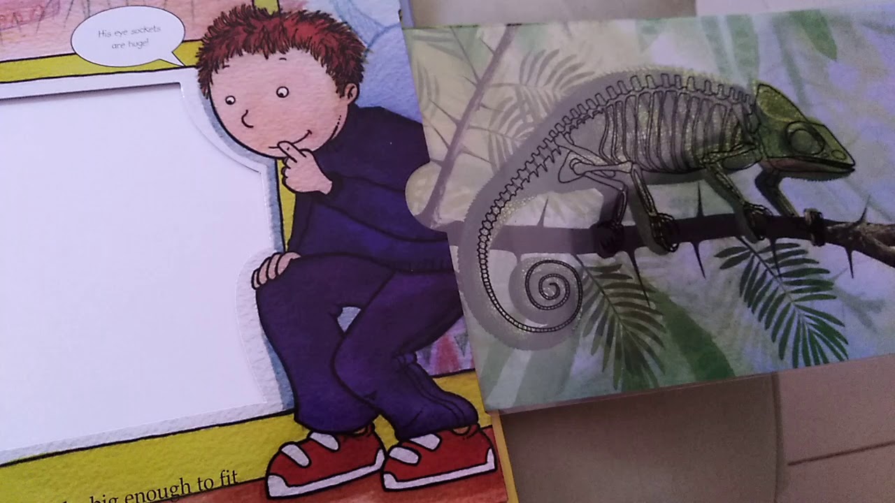 Child's Book Reading - SAFARI ANIMAL ADVENTURE - YouTube