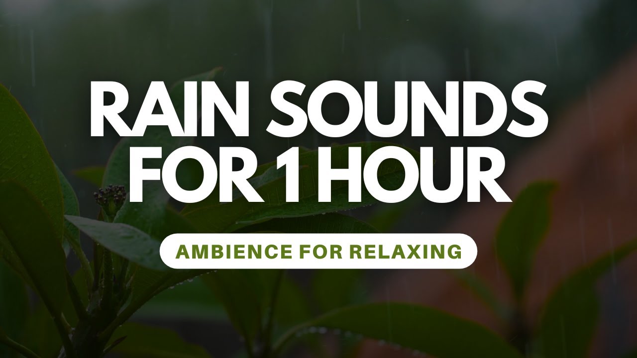 RAIN SOUNDS FOR 1 HOUR | RAIN SOUNDS FOR STUDYING - YouTube
