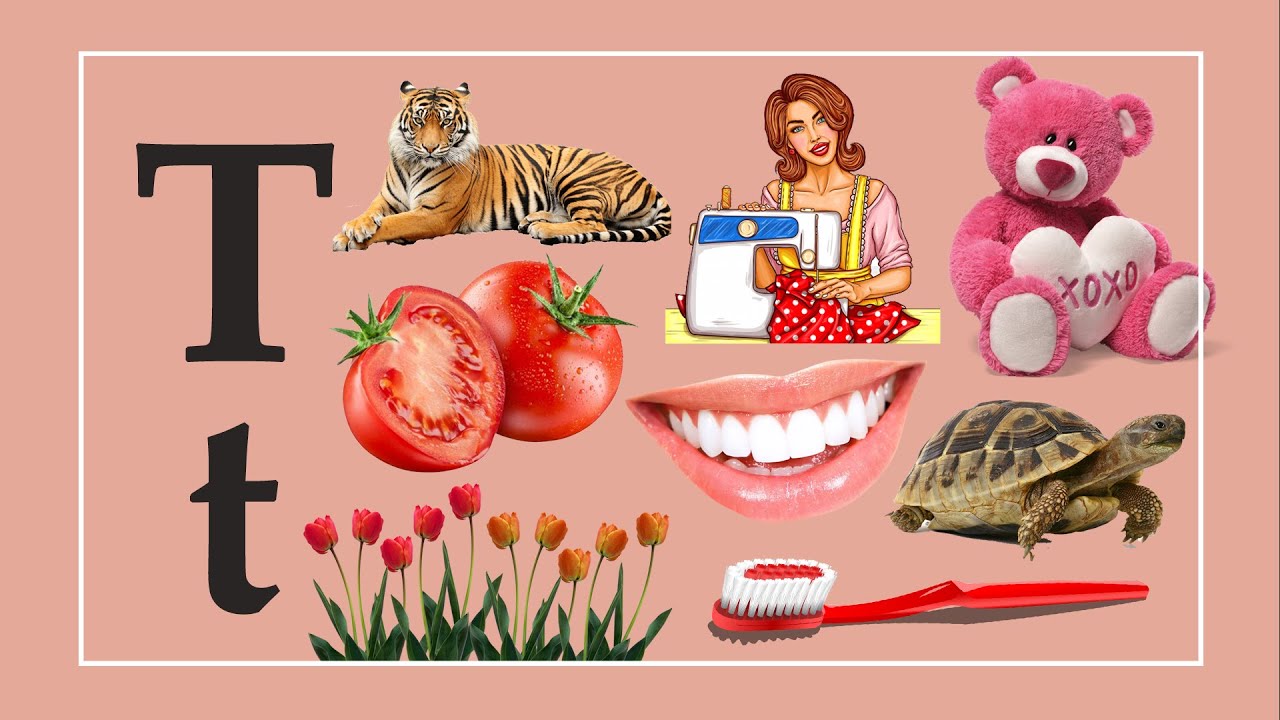 Alphabets | Learn Alphabets | Introduction Of Letter T | T for Tiger ...
