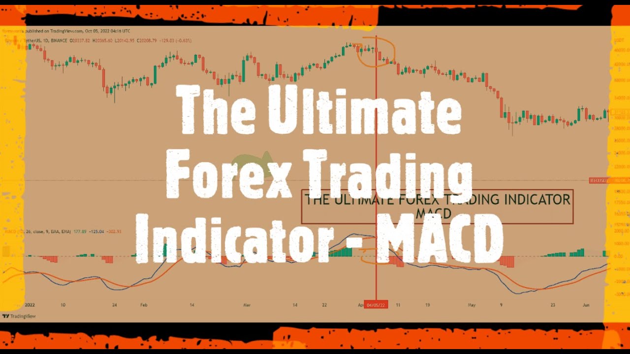 The Ultimate Forex Trading Indicator MACD - YouTube