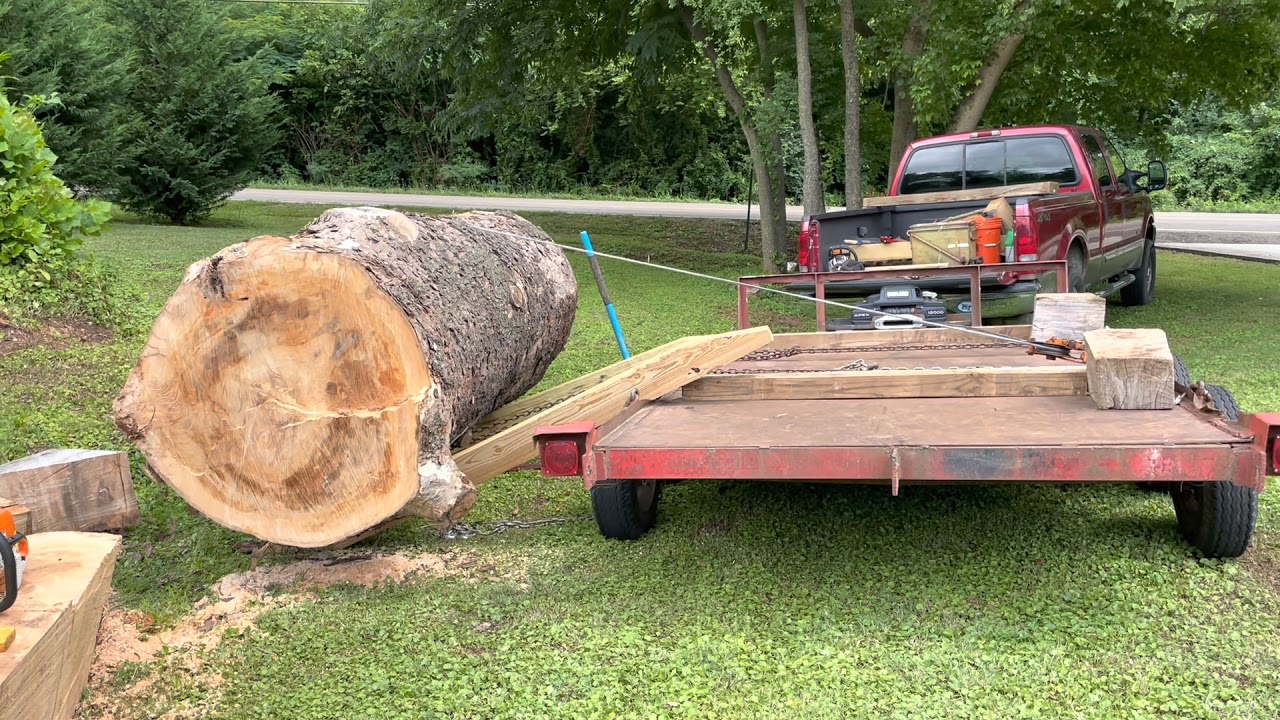 Sycamore Parbuckling - YouTube