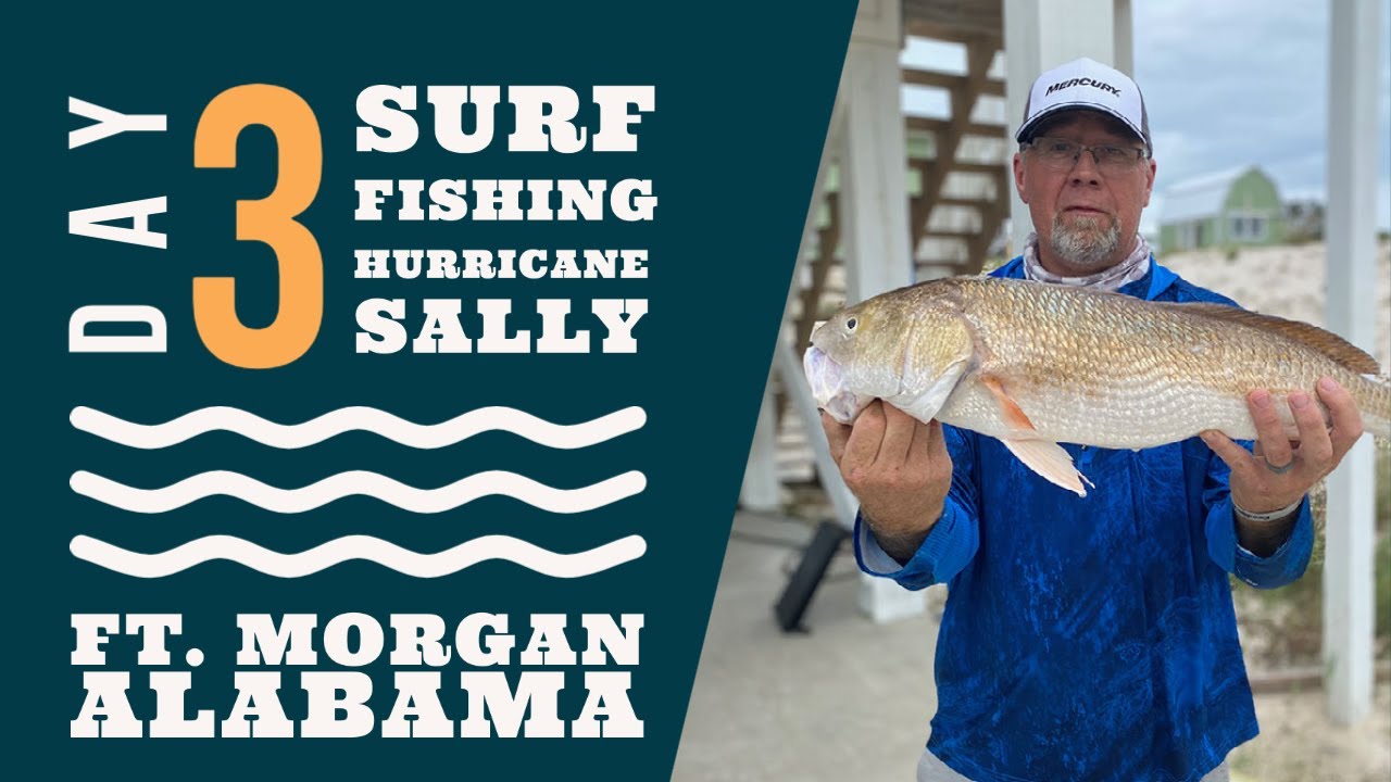 Surf fishing the gulf!! NEW SPECIES CAUGHT!!!!!! - YouTube