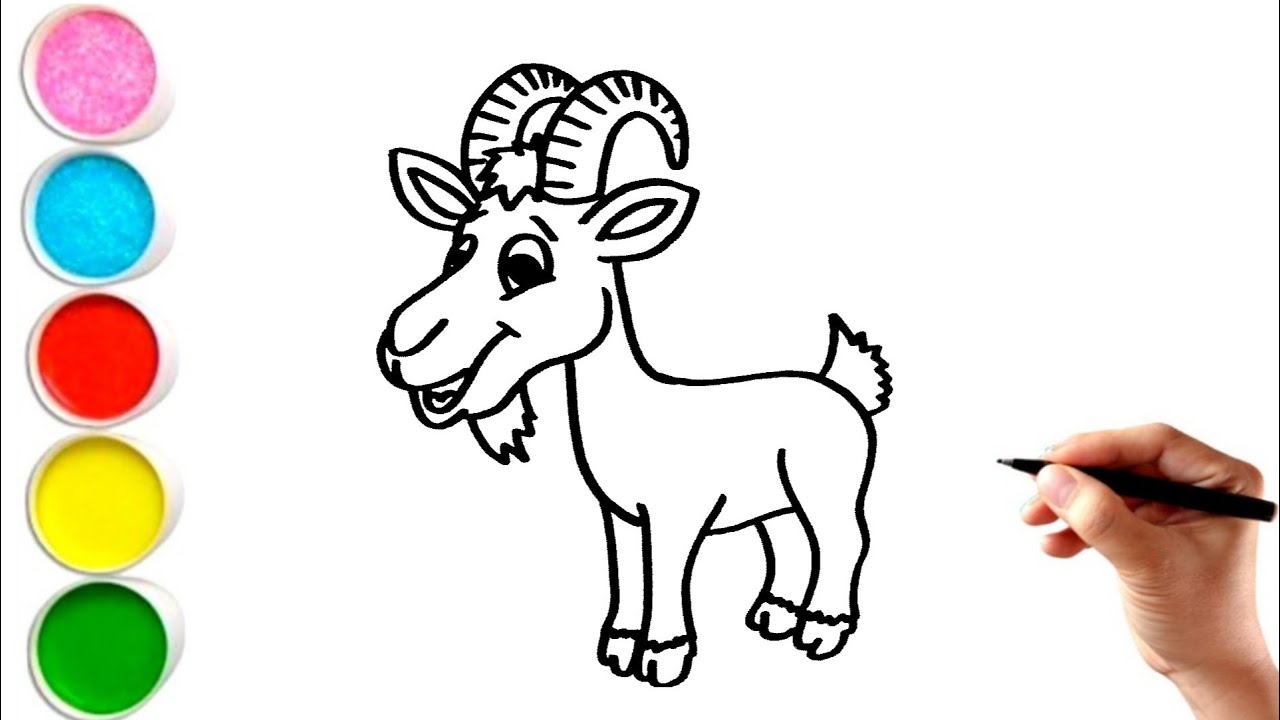Baa Baa! How to Draw a Goat | Easy Drawing and Colouring for Kids - YouTube