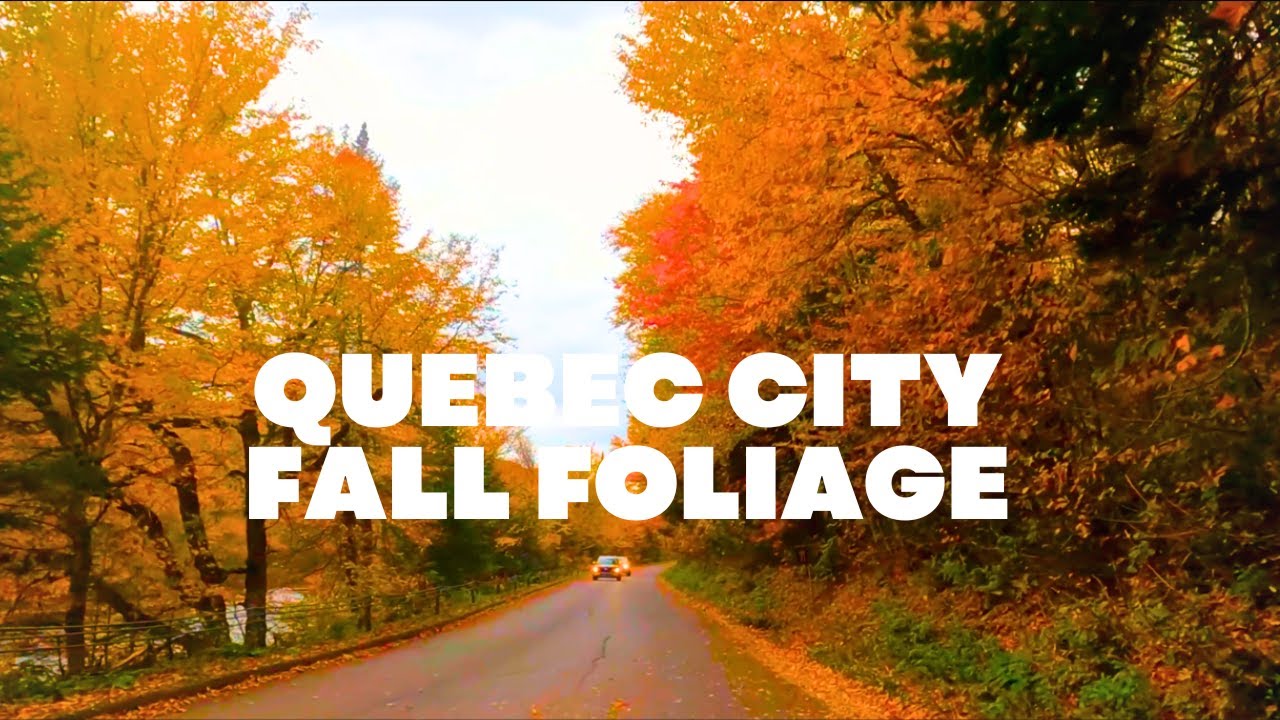 【Quebec trip part 1】Mesmerizing Fall Foliage Touring in Quebec City ...