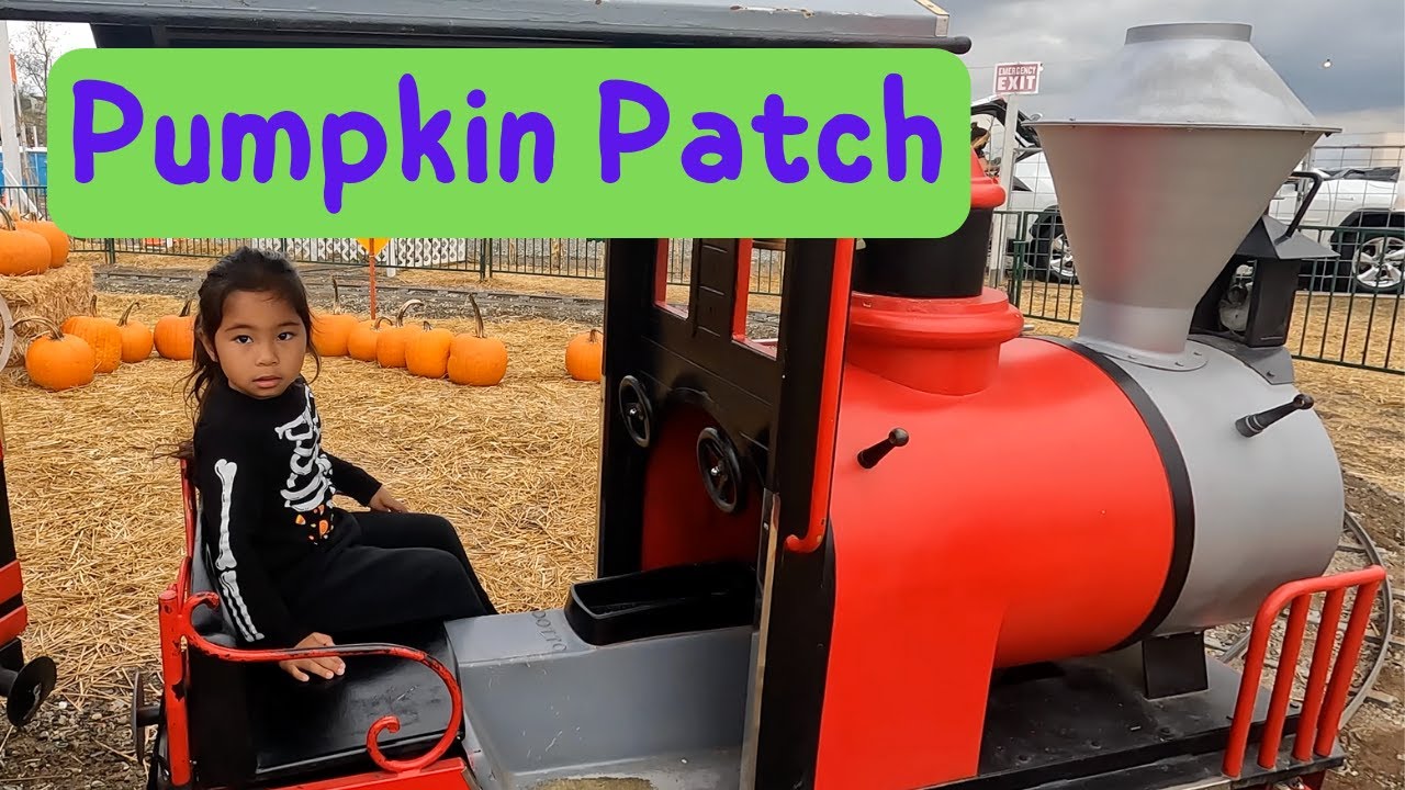 Pumpkin Patch 2022. || Yoshi's Adventures. 4K - YouTube