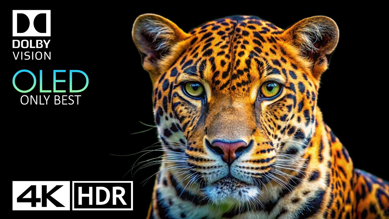 Amazing OLED Demo 4K Video ULTRA HD 120 FPS - Dolby Vision (4K HDR ...