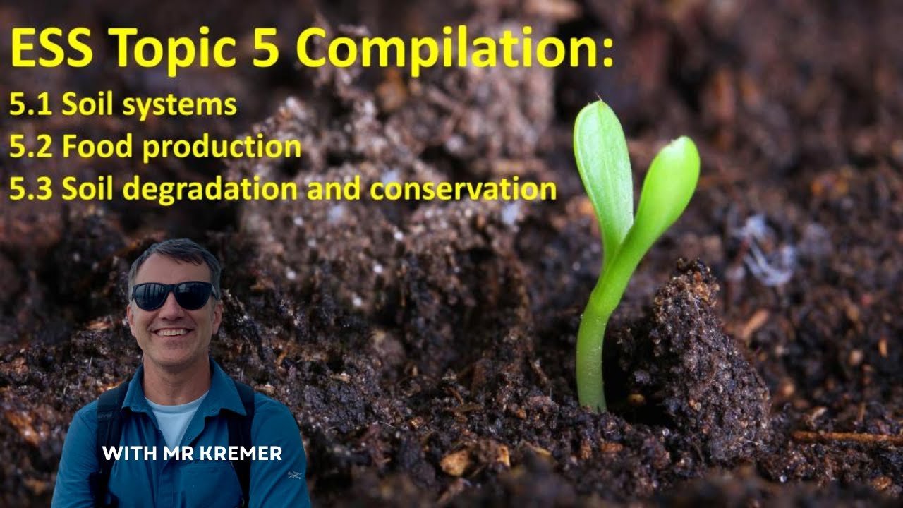 IB ESS Topic 5 Exam Revision - Soils, Food production, Soil degradation ...