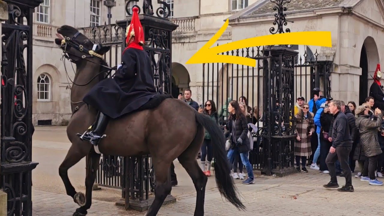Get Out of the Way! Lady Guard Does Well To Stay On - YouTube