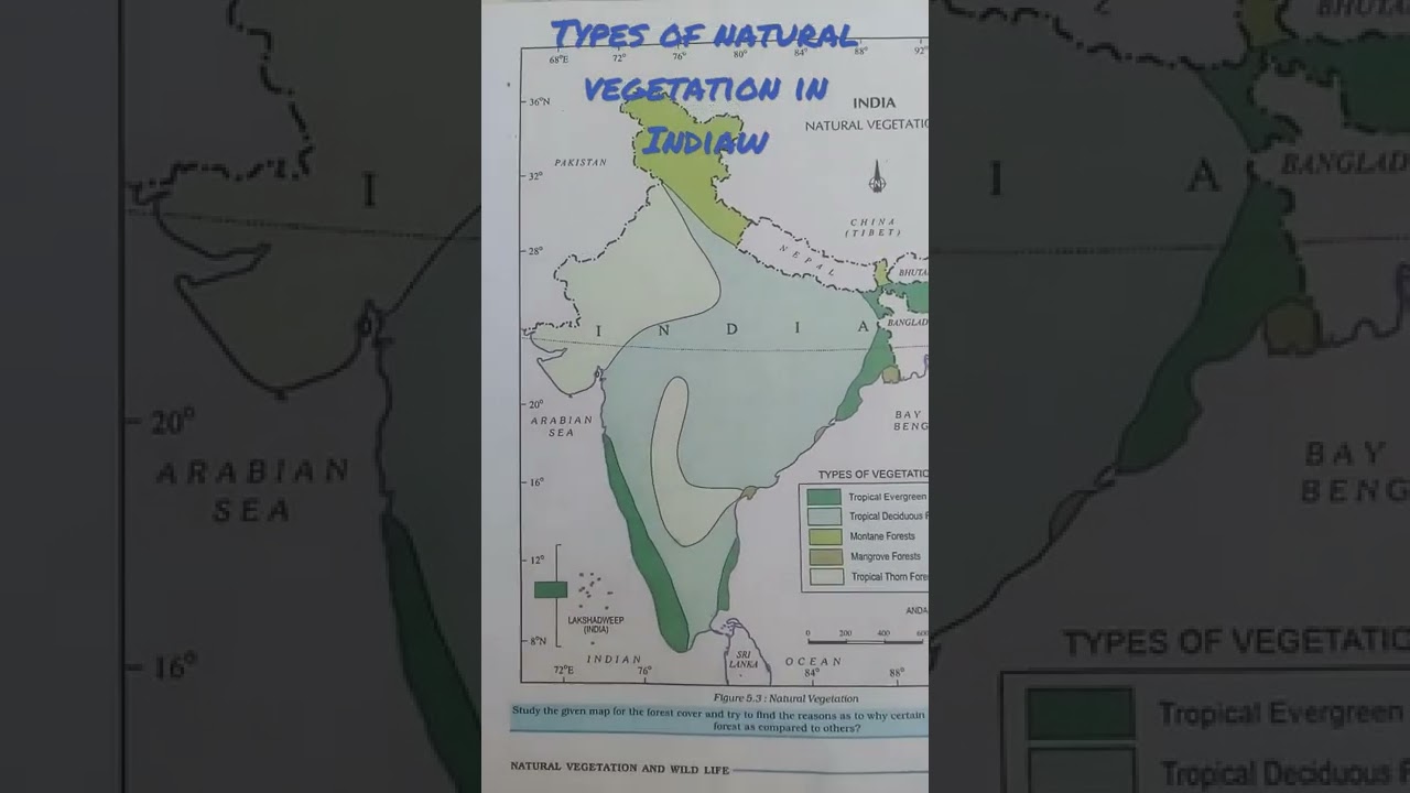 types of natural vegetation in India||class 9 || geography|| natural ...
