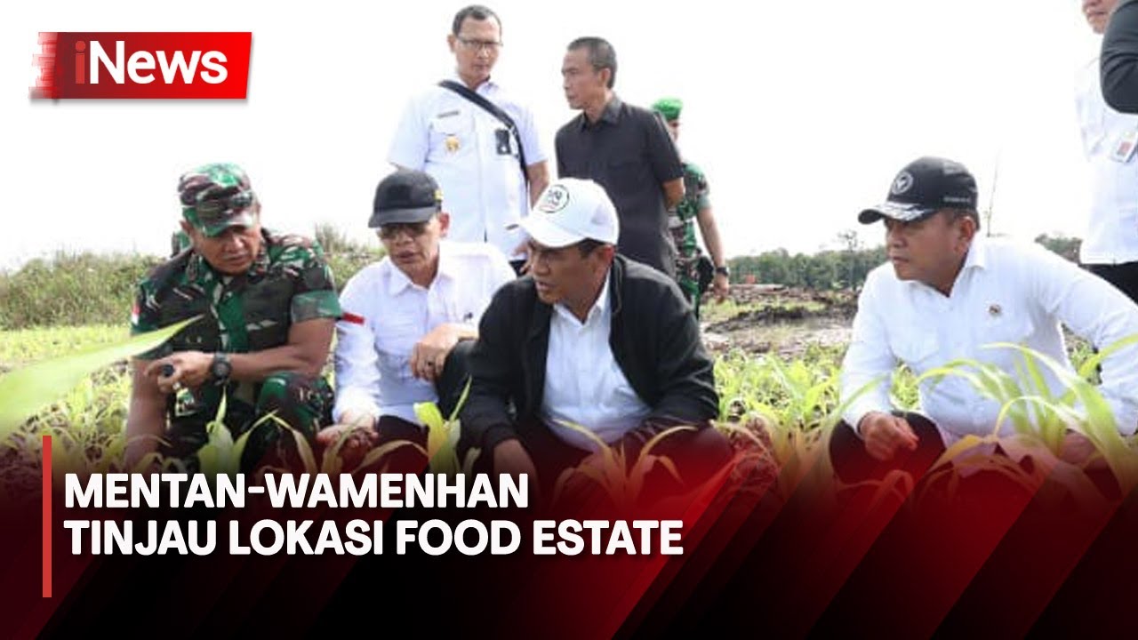 Mentan dan Wamenhan Tinjau Lokasi Food Estate di Kalimantan Tengah ...