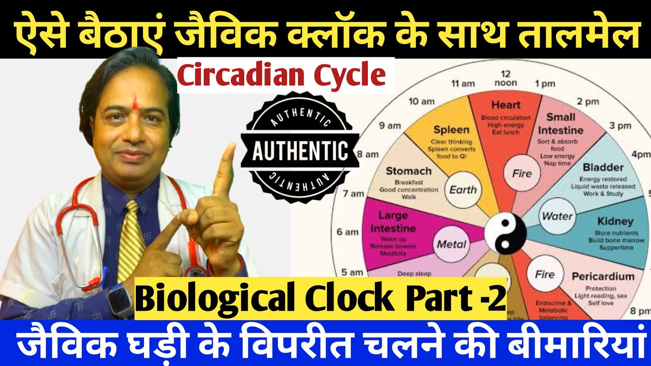 ऐसे बैठाएं जैविक क्लॉक के साथ तालमेल || circadian rhythm and biological ...