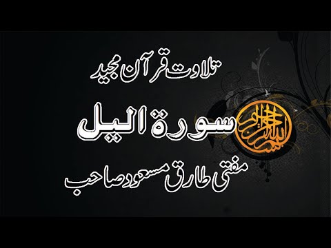 Hafiz Shahab - Holy Quran Recitation of Surah Al-Lail By Beautiful Voice of Mufti Tariq Masood Sahab
