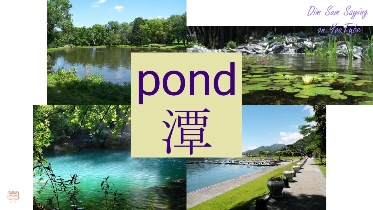 "POND" in Cantonese (潭) - Flashcard - YouTube