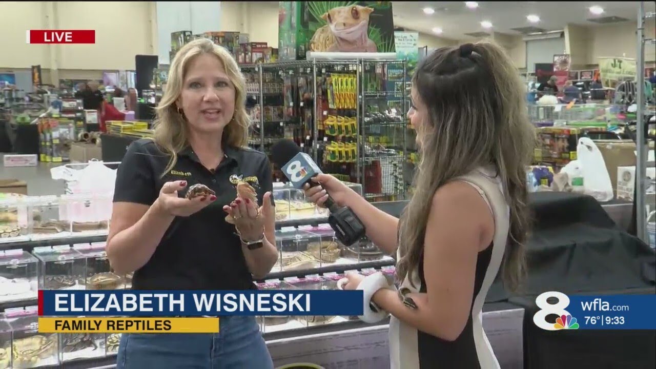 Thousands attend Repticon at Florida State Fairgrounds - YouTube