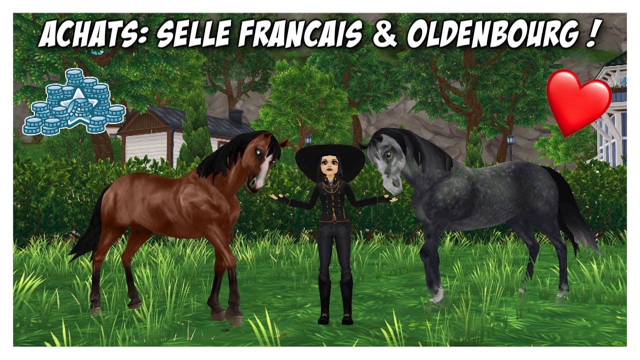 [SSO] Achats: Oldenbourg & Selle français de génération 1.5 ! - YouTube