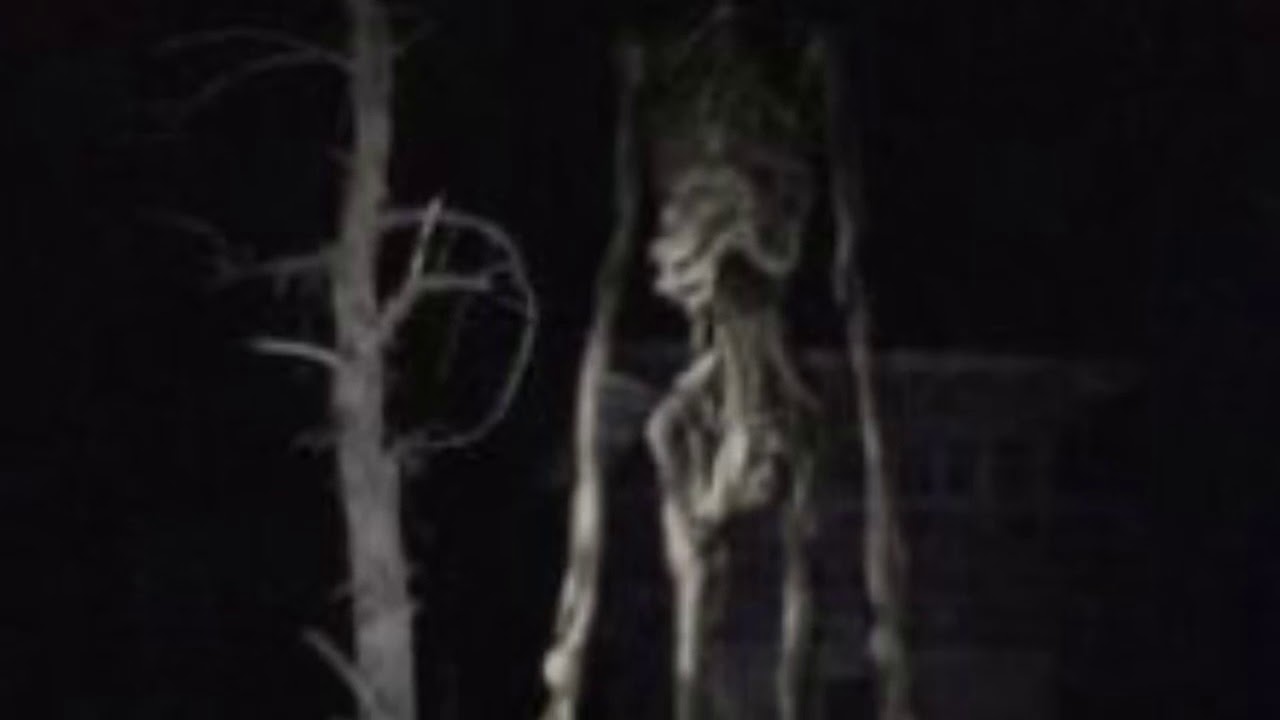 Unnerving Images Meaning