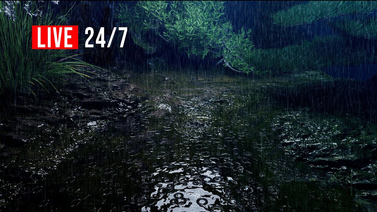 BEAUTIFUL RELAXING RAIN- MEDITATION - NATURE - RAIN - SLEEP - YouTube