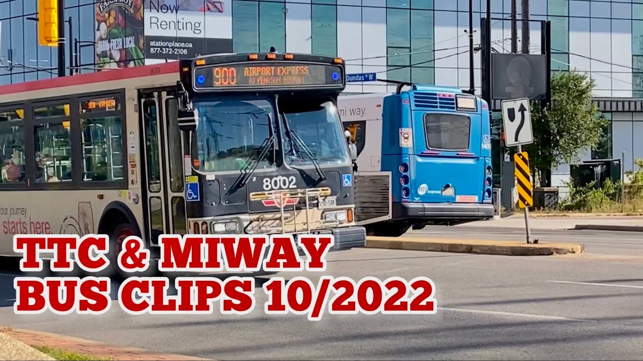 TTC & MiWay *20 Rathburn @0:26* Transit Bus Clips Day And Night Shots ...