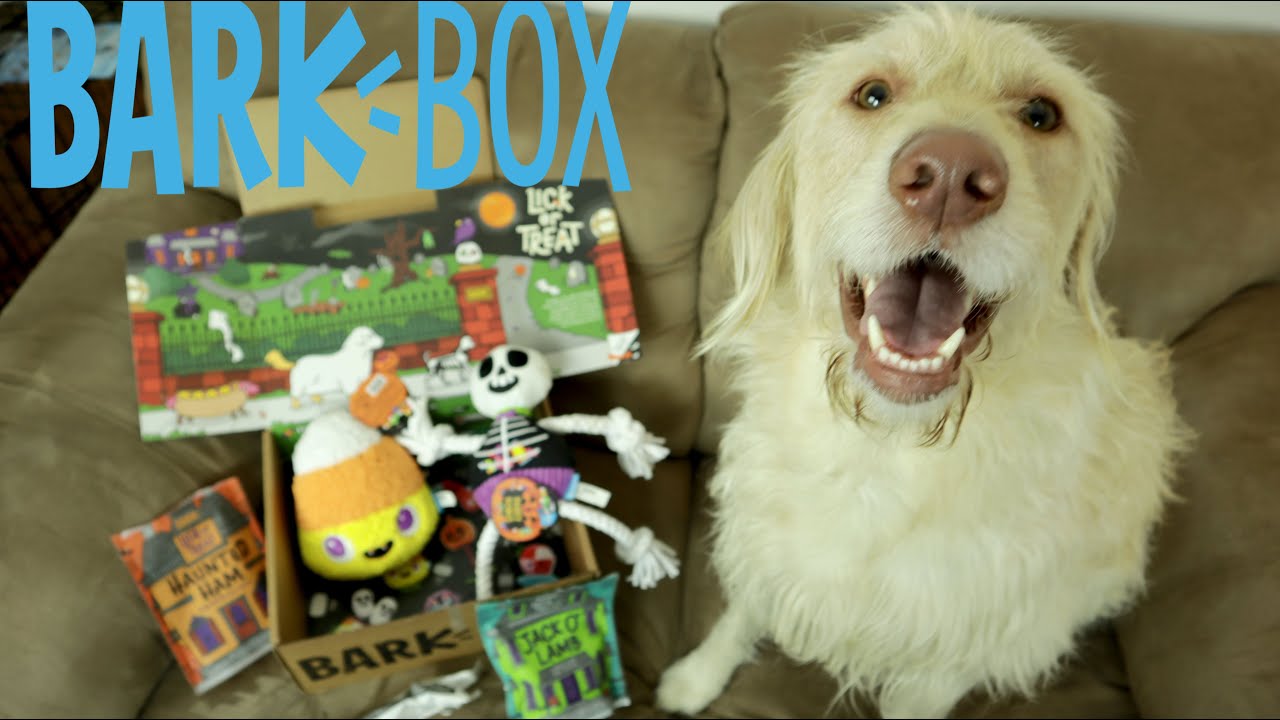October Bark Box Unboxing With Oliver. Lick Or Trealt Spooky Halloween ...