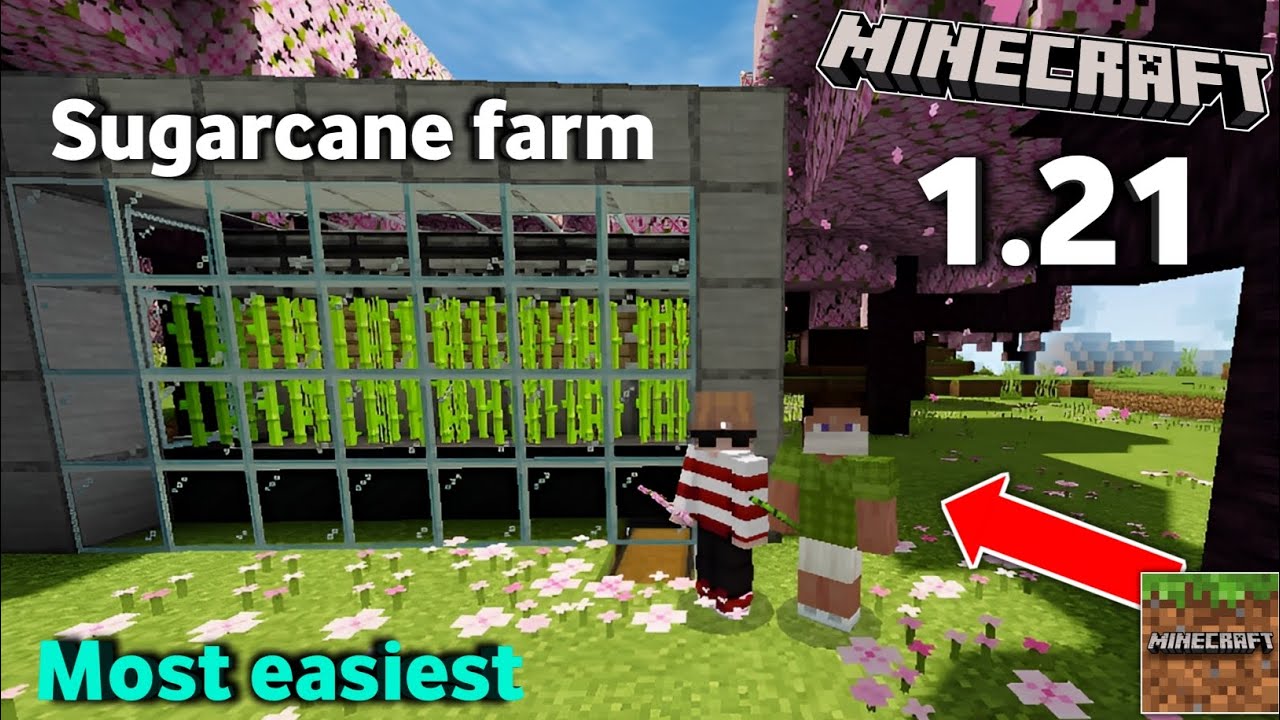 How to build Easiest Automatic Sugarcane Farm in PocketEdition ...