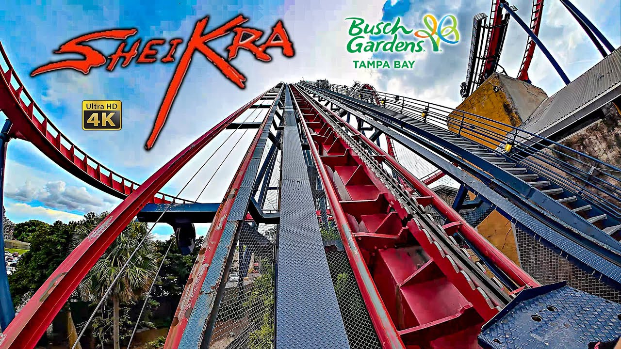 Sheikra Roller Coaster On Ride Front Row 4K POV Busch Gardens Tampa ...