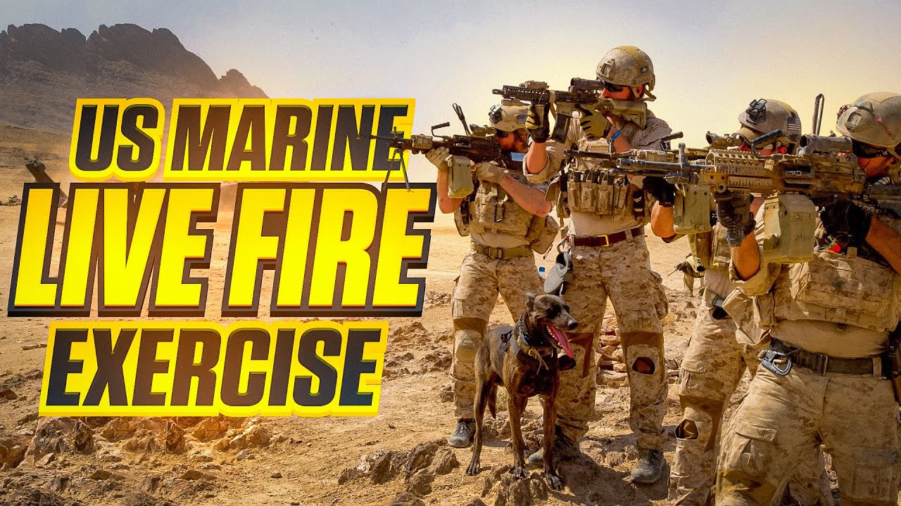Intense Military Training US Marines Heavy Live Fire Exercises - YouTube