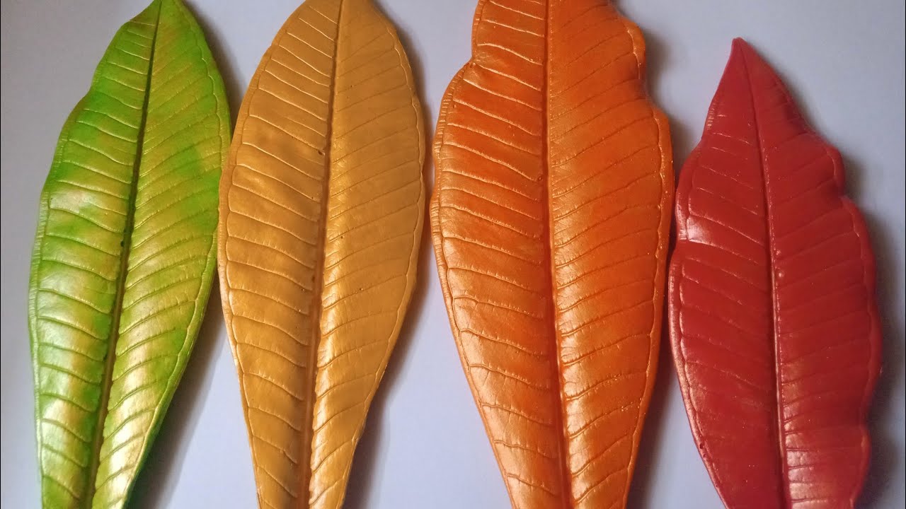 Plaster Leaf Casting || Plaster of Paris Gypsum Craft Idea - YouTube