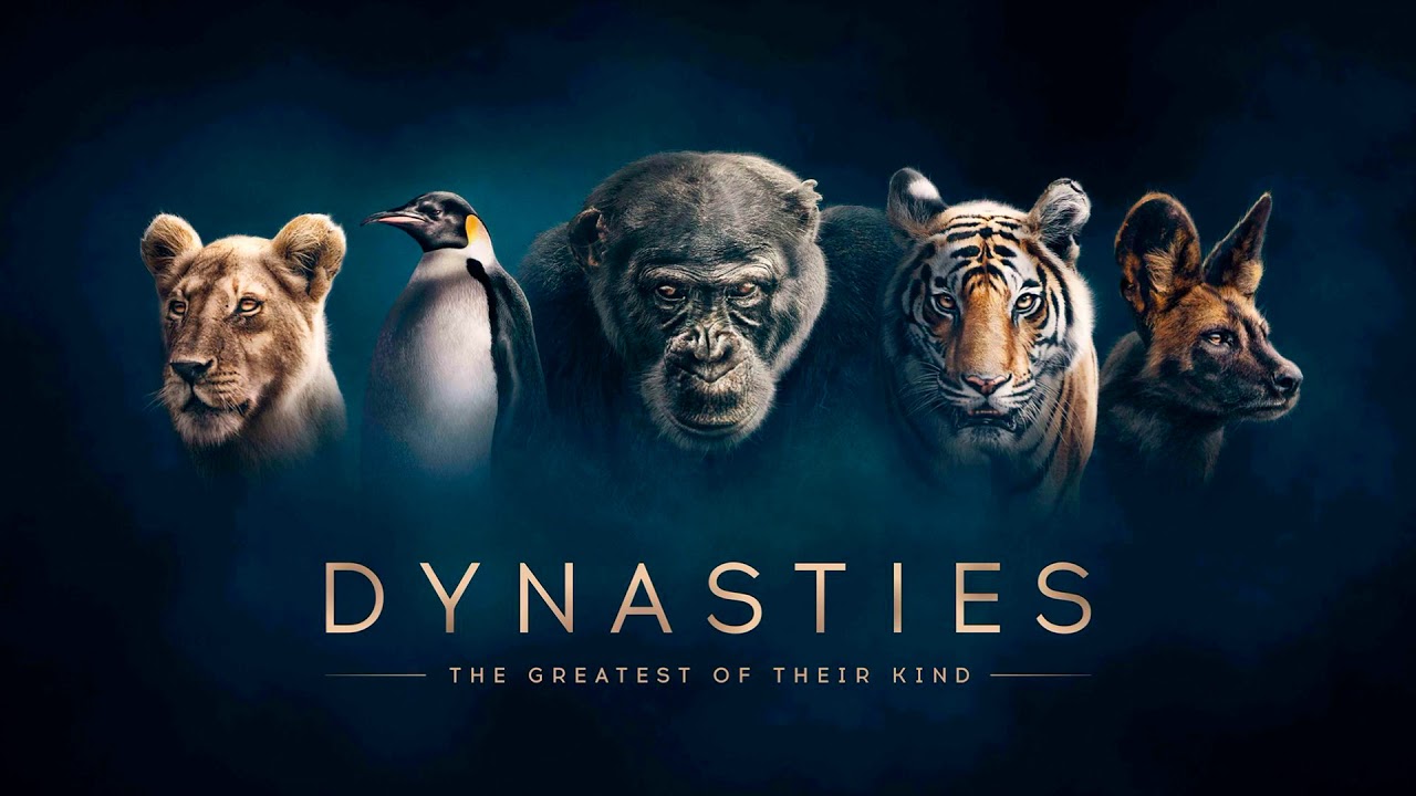 Lions Intro (BBC Earth Dynasties Soundtrack) - YouTube
