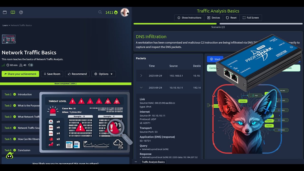 TryHackMe Network Traffic Basics - Full Walkthrough 2025 - YouTube