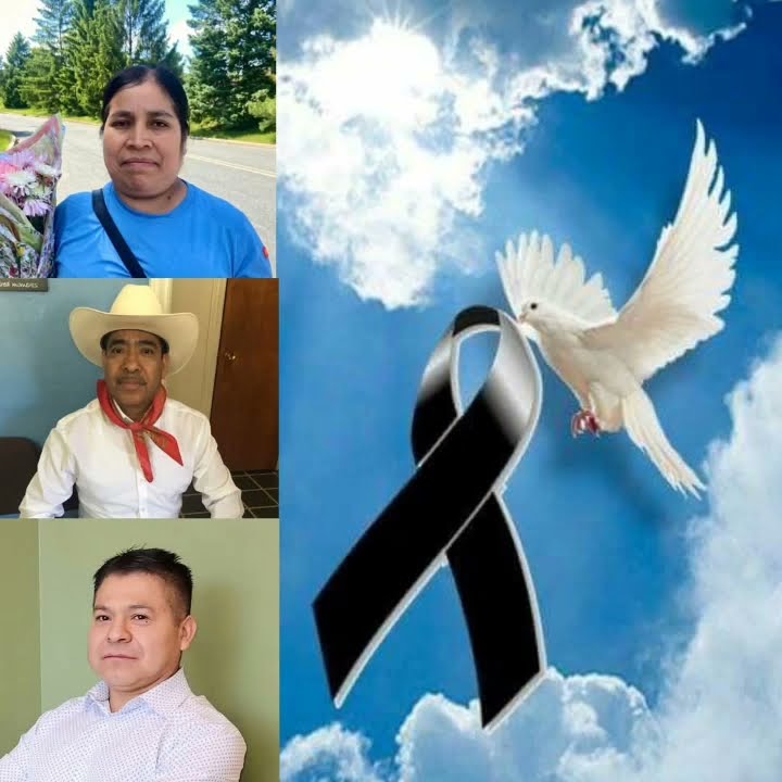 ¡DESCANSEN EN PAZ!, FELIPA MARTÍNEZ GARCÍA, ALBINO FUENTES CORDERO Y ...