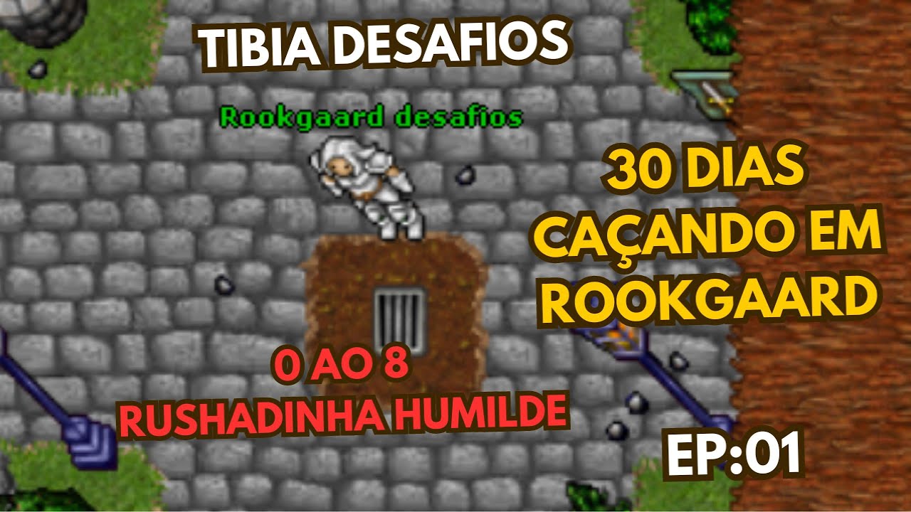 TIBIA DESAFIOS - 30 DIAS CAÇANDO EM ROOKGAARD - 0 AO 8 RUSHADINHA ...
