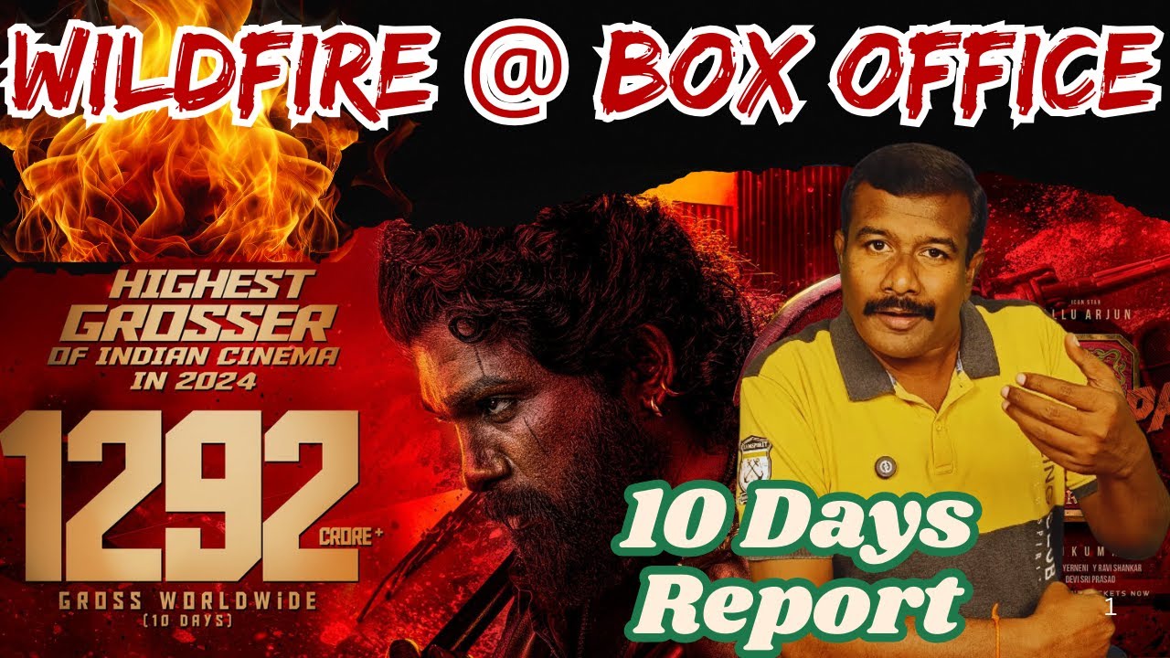 Pushpa 2 10 Days 1200 Cr Collection Report | Box Office Wildfire | Allu ...