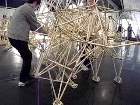 Animaris Ordis - YouTube