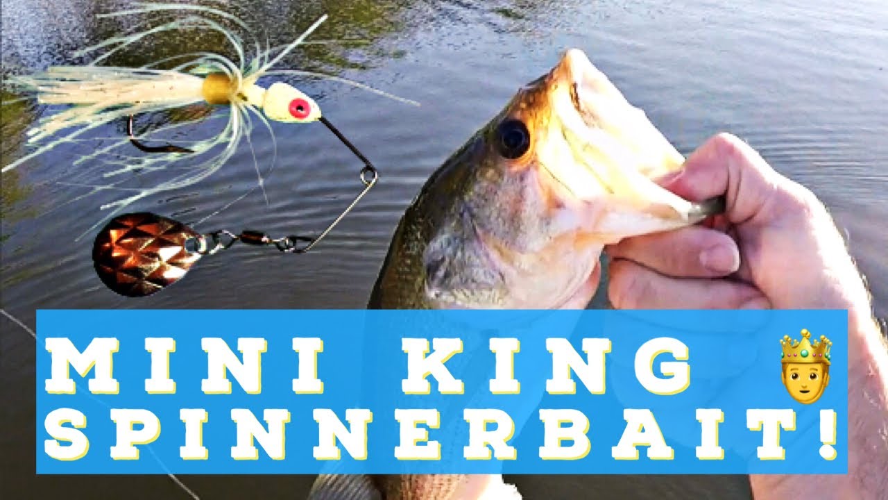 🌇 Fishing the Strike King Mini King Spinnerbait 🤴 - YouTube