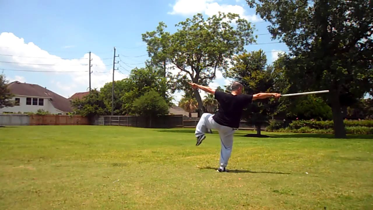 Chinese Northern Form Gim Practice - YouTube