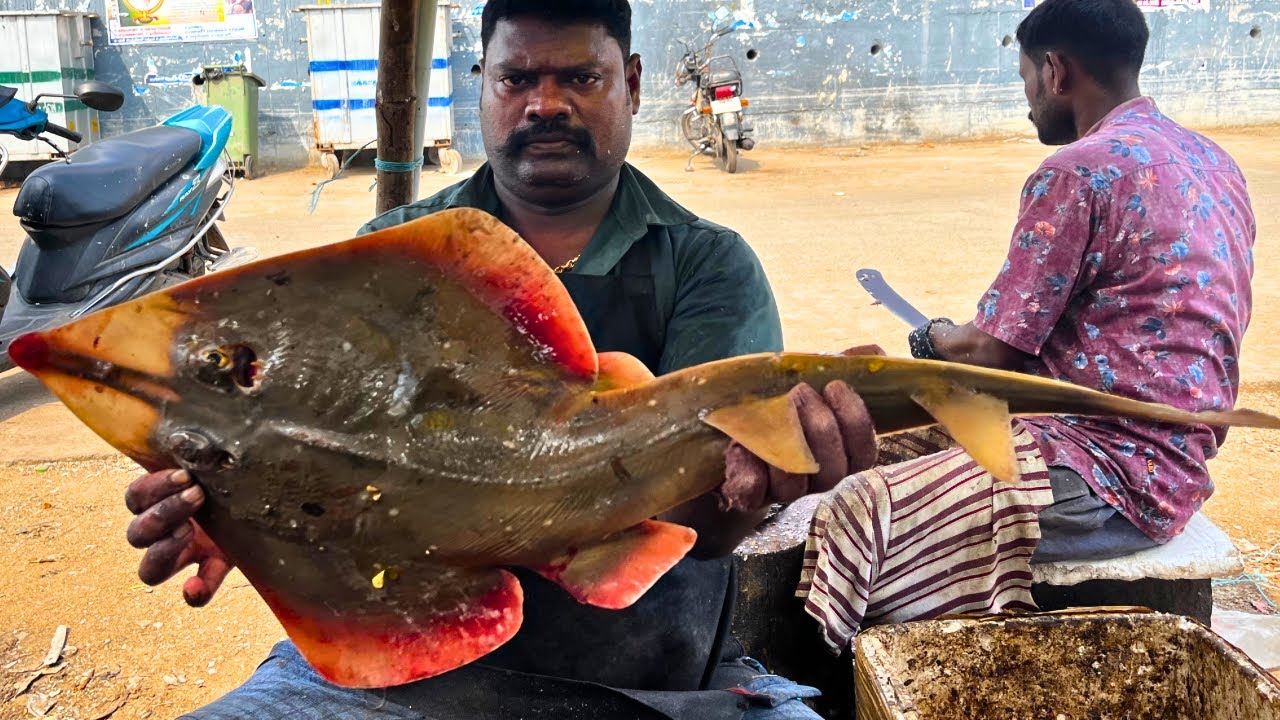 STINGRAY FISH CUTTING BY SPEED SELVAM | HD VIDEO | IN KASIMEDU ...