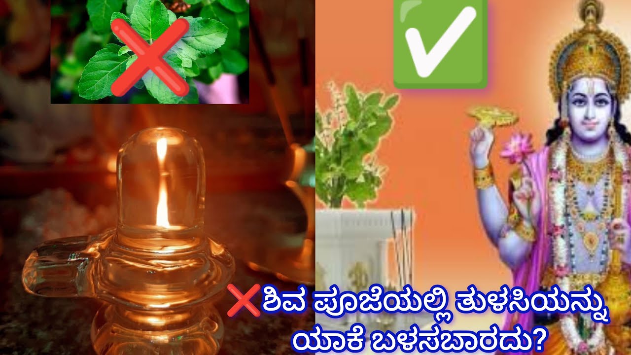 Why Tulsi should NOT be used in SHIVA pooja! Mythology and facts explained|| Kannada vlogs - YouTube