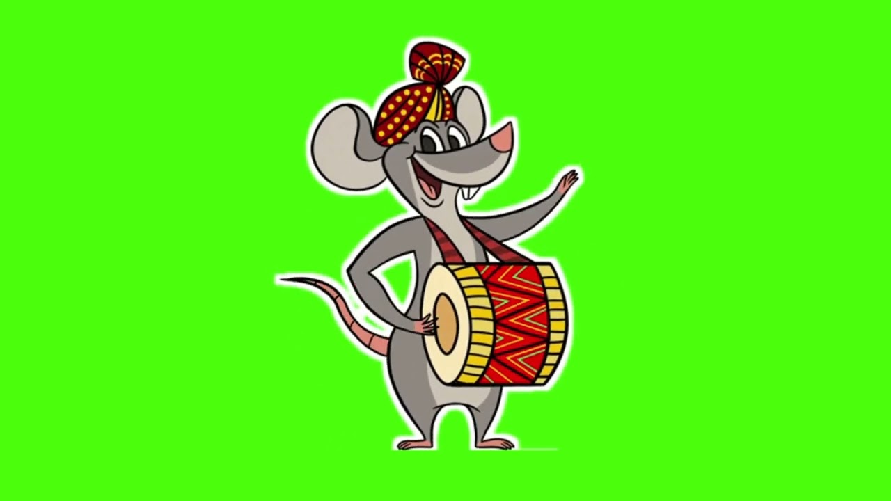 Rat Drum Playing Green Screen, Rat Dhol playing - YouTube