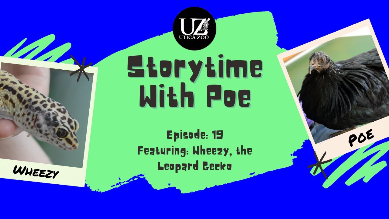 Storytime With Poe Episode 19 - "Twas the Day Before Zoo Day" feat ...
