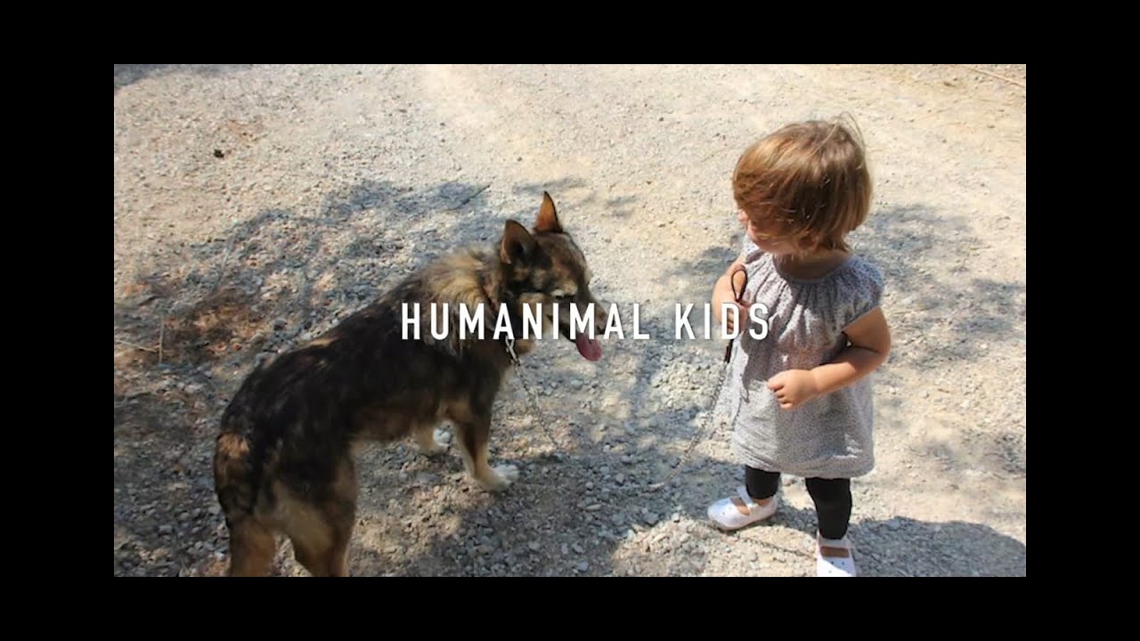Cápsula audiovisual "Humanimal Kids" - YouTube
