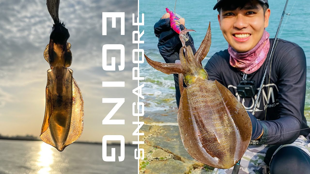 How to catch Squid? | Singapore Eging | Marina South Pier Fishing - YouTube