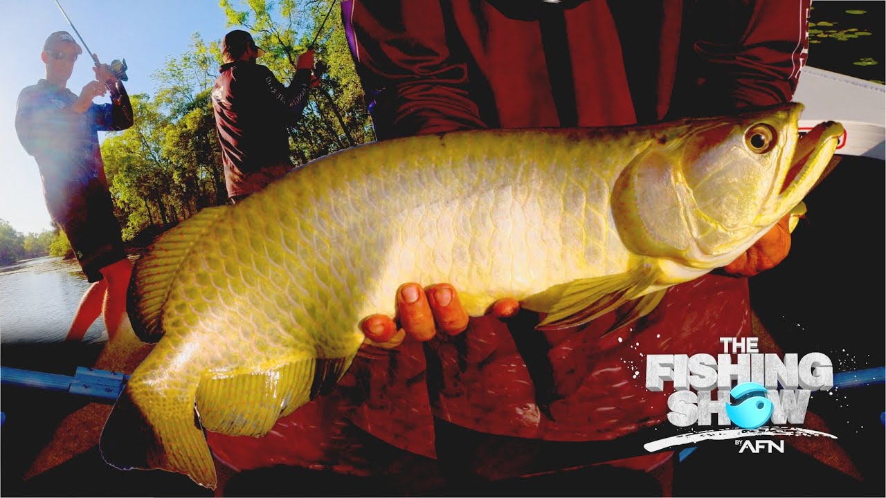 Saratoga - The Hardest Fish to Catch? - YouTube